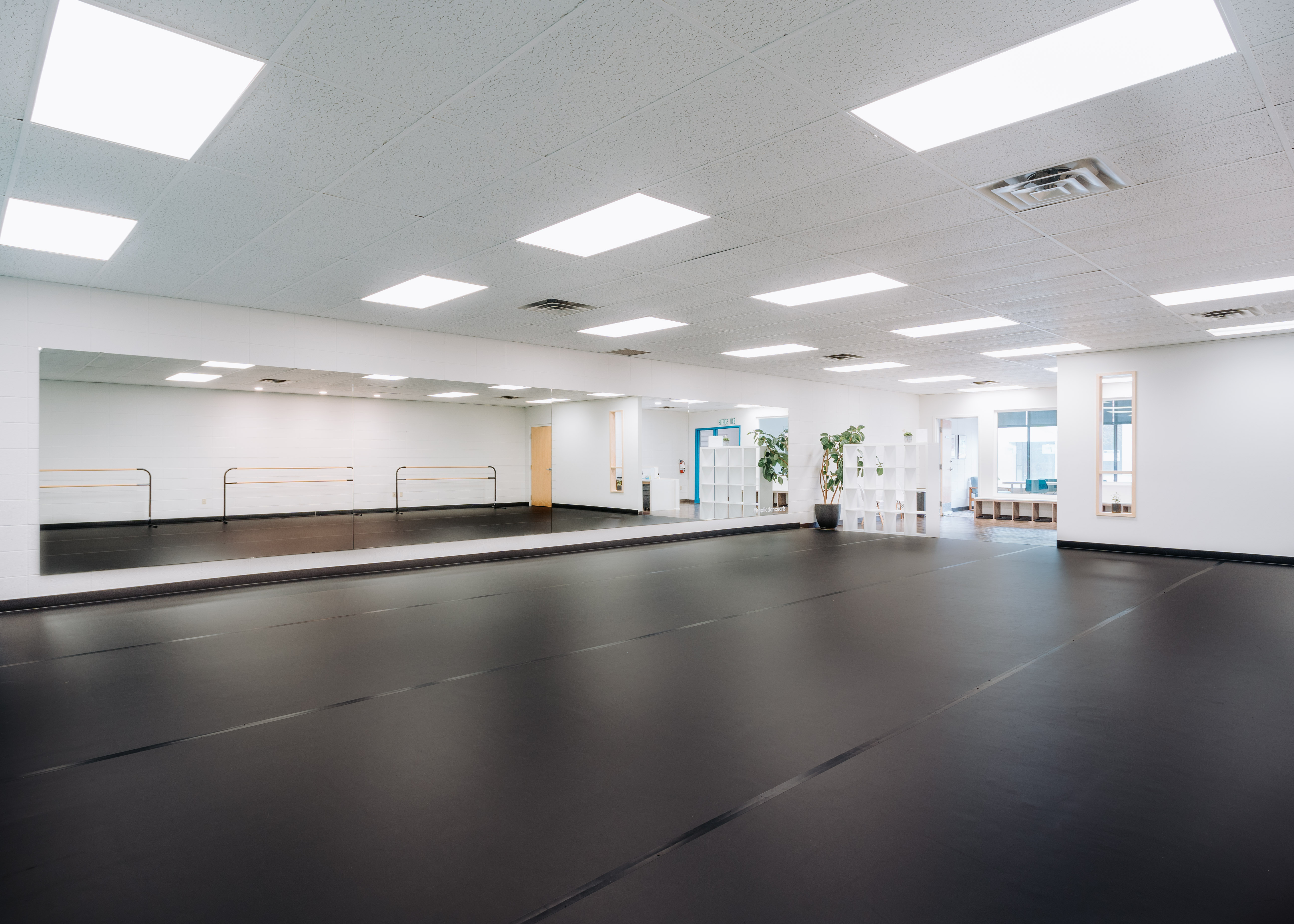 Our Studio – Haptic Dance Arts